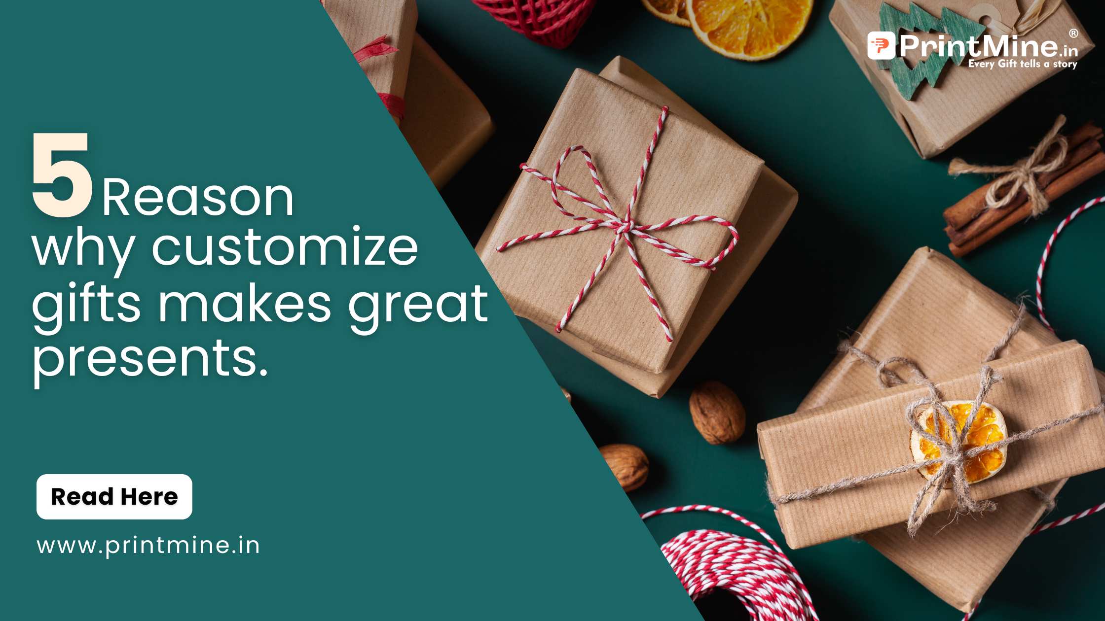 Blog_Banner.jpg?v=1727069111